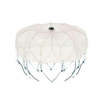 Watchman Device Implantation, Tampa, Florida